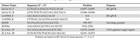 Table 3 From Antiviral Efficacy Of Rnase H Dependent Gapmer Antisense Oligonucleotides Against