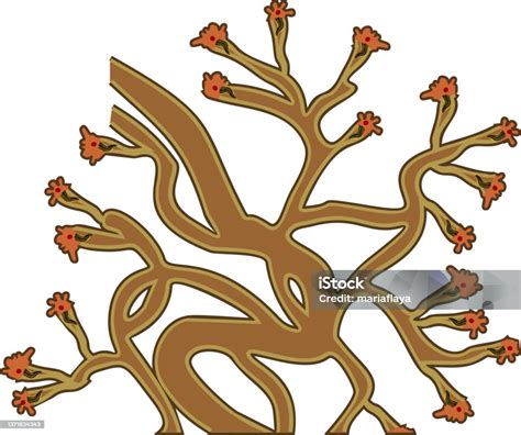 Protonephridia Cacing Pipih Struktur Sistem Ekskresi Trematoda Dan Cacing Pipih Lainnya