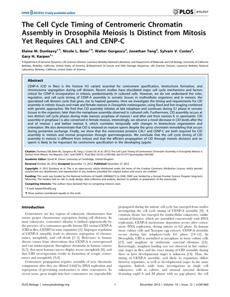 Pdf The Cell Cycle Timing Of Centromeric Chromatin Assembly In Drosophila Meiosis Is Distinct