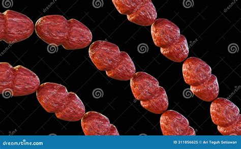 Vancomycin Resistant Enterococcus Or Vre Enterococcus Faecalis Stock