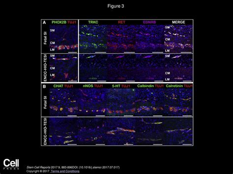 volume 9 issue 3 pages september 2017 ppt download