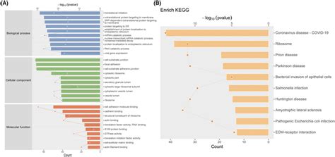 Cellular Process Mediated By Hfref Hfmref And Hfpef Eat Proteins Download Scientific Diagram