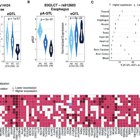 Colocalization Of Pa Qtl Eqtl And Gwas Signals Examples Of Pas