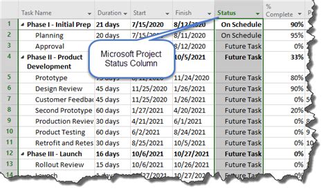 Microsoft Project Status Report OnePager Pro