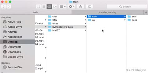 Pytorch自定义数据集之torchvisiondatasetsimagefolder Csdn博客