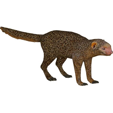 Categorymongooses Zt2 Download Library Wiki Fandom Powered By Wikia