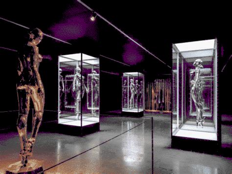 Museum Of Sex Miami Snøhetta