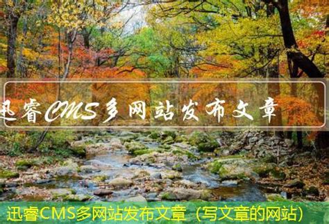 迅睿cms多网站发布文章（写文章的网站）