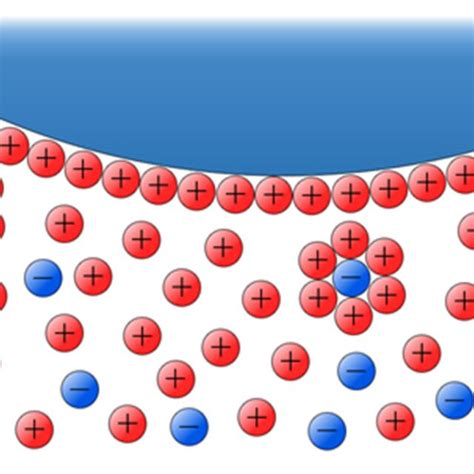 Schematic Representation Of The Electrical Double Layer In A Negatively Download Scientific