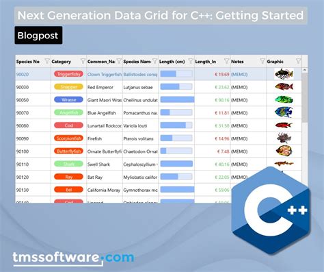 Discover The Tms Fnc Data Grid Your Go To Solution