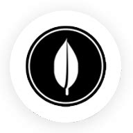 Mongodb Development Services Creative Encode Technologies