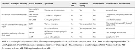 Nat Rev Immunol 综述 浙江大学医学院赵阳等评述衰老相关炎症中的dna损伤和修复 知乎