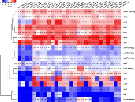 hierarchical clustering euclidean distance of regulator gene