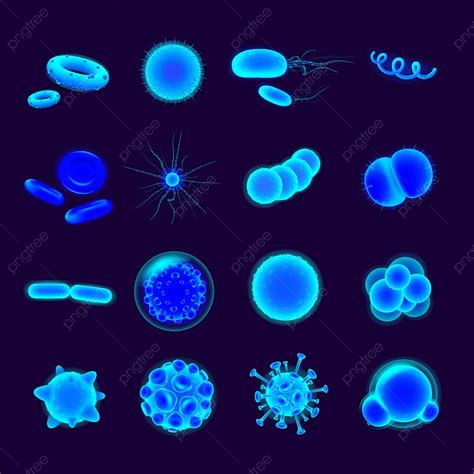 Bacteria Vector Png Images Bacteria Realistic Vector Icons Set Bundle