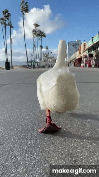 Happy Duck Cute Waddle On Make A Happy Duck Cute Waddle On Make A