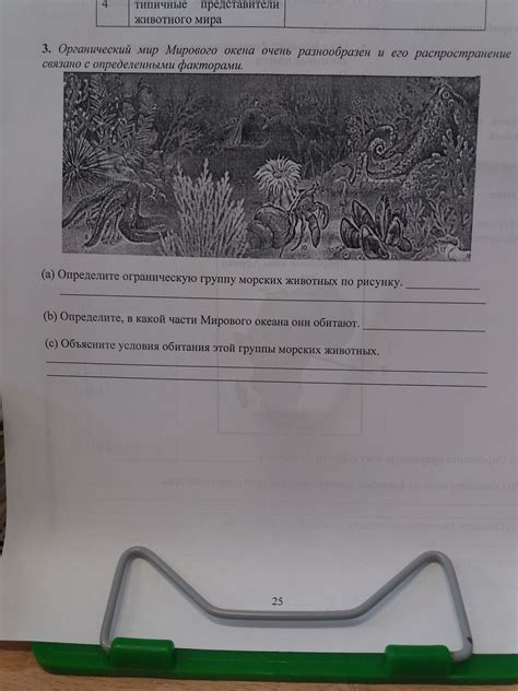 а Определите органических группу морских животных по рисунку в определите в какой части