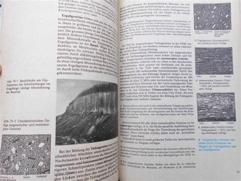 Geographie - Lehrbuch für Klasse 9 - von Barsch, Heiner, Arnulf Sieber ...