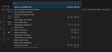 Benoit Moussaud On Linkedin Tanzu Cli Error “warning Masking Commands For Plugins “package