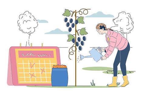 수확 관개 개념 물을 가진 여자는 새싹 근처에 할 수 있습니다 농업 및 농업 원예 농장이나 정원에 있는 어린 소녀 선형 벡터 일러스트레이션 관개 장비에 대한 스톡 벡터 아트