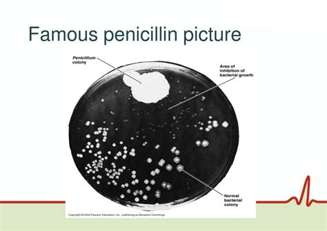 Antibiotics November 2011 Insert Name Of Presentation On Master Slide