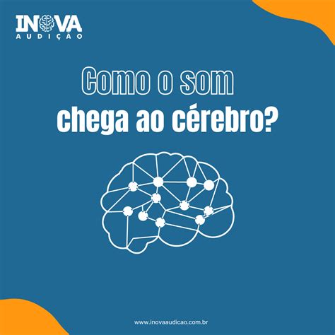 Como O Som Chega Ao Cérebro