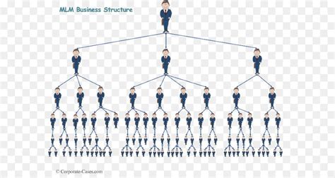 Multi Level Marketing Binary Plan Software Mlm Software Mlm Software