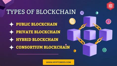 kryptobees on linkedin blockchainexplained blockchaintypes