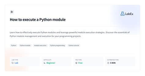 how to execute a python module labex