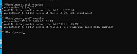 python以及java环境搭建 解决不同版本环境共存问题 麦克斯韦方 博客园