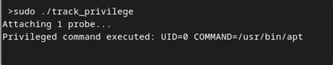 Boosting Cybersecurity With Ebpf In Linux Security Stuff