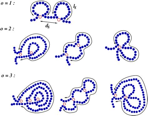 Schematics Of Loop Topologies Of Order O Polymer Segments Are Download Scientific Diagram