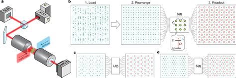 Atom Array Lukin Group