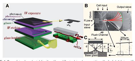 Figure 1 From A Vast Range Speed Control Microchip For Retention Of All Cell Types Semantic