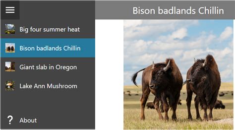 Net Is There A Wpf Equivalent To Uwps Splitview Hamburger Menu