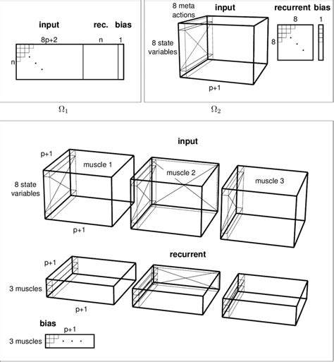 Coefficient Mappings The Coefficients Are Mapped Into Two Network