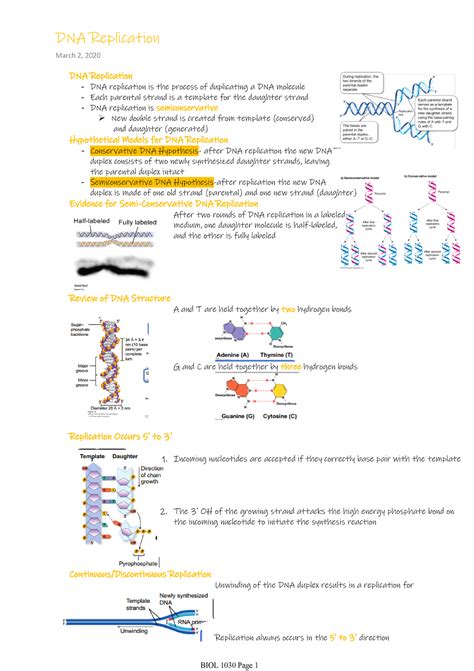 Dna Replication Lecture Notes 7b Warning Tt Undefined Function 32 Dn A Dna Replication Is