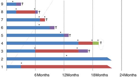 Treatment Duration And Survival Outcome Of Patients Swimmer Plot