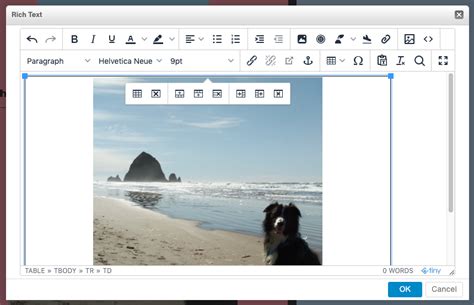 Microsoft Outlook Email Rendering And Troubleshooting Guide Act On