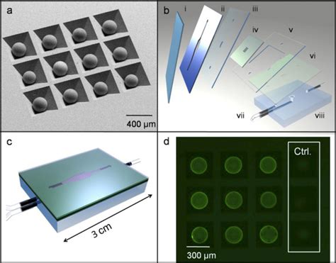 Early Diagnosis Of Disease Using Microbead Array Technology A Review Abstract Europe Pmc