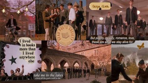 Pin On Wallpapers For The Laptop