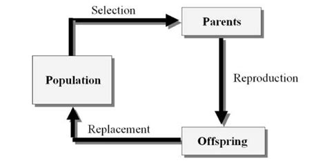 Flowchart Of An Evolutionary Algorithm Download Scientific Diagram
