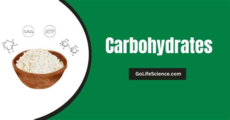 Classification Of Carbohydrates With Definition Types Meat Technology