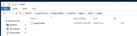 check mk discovery can not load robotmk json data json loads