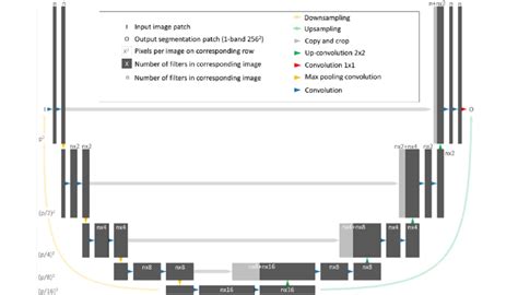 The U Net Architecture Clark And Mckechnie 2020 Ronneberger Et Al 2015