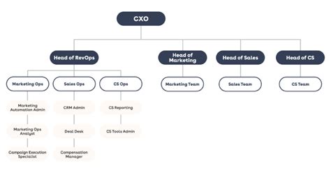 Revops Org Structure A Comprehensive Guide Go Nimbly