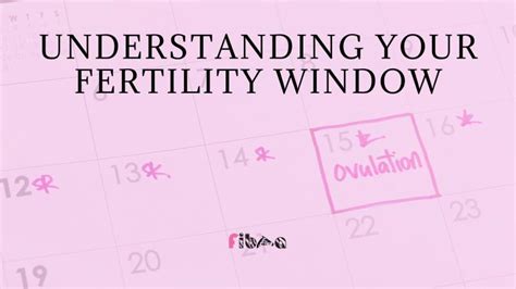 Fibra on LinkedIn: Understanding Your Fertility Window