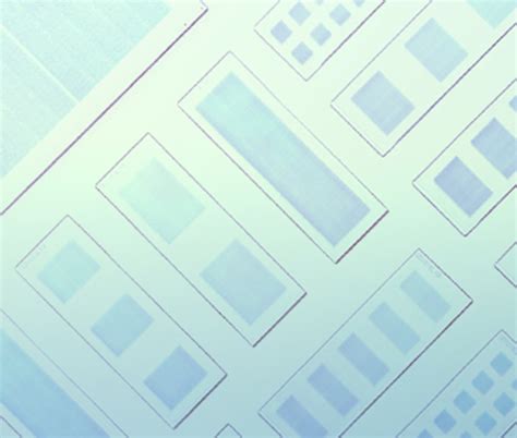 Pepperprint Pepperchip® Peptide Microarrays For Research