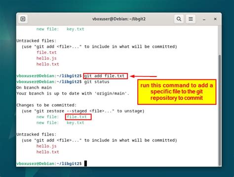 A Comprehensive Guide On How To Git Add All Files 5 Best Methods