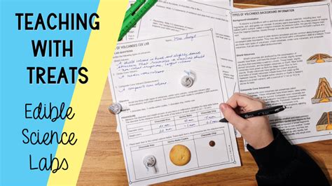 6 Fun And Engaging DNA Replication Activities Science Is Real Education