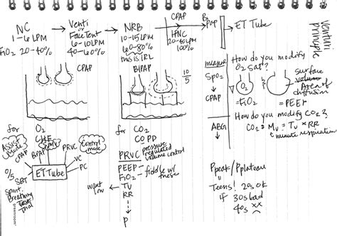 Spatial Memory In D A Case For Taking Nonlinear Notes Mullen Memory